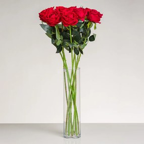 Dlouhá sametová růže TINA XL průměr 10cm L 75cm v červené barvě. Cena je uvedena za 1 kus.