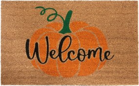 Hanse Home, Rohožka Welcome (dýně) 105665 - na ven i na doma, 45x75, oranžová, chodba / předsíň