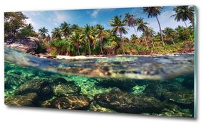 Wallmuralia Fotoobraz na skle Tropická pláž 100x50