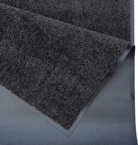 Rohožka Wash & Clean 102011 Black, 60x90, šedá, chodba / predsieň, Hanse Home