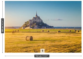 Fototapeta Le Mont SaintMichel 104x70