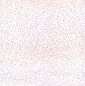 Papírová tapeta bílá strukturovaná 2001700 / Levné tapety na zeď Vavex 2017 (0,53 x 10,05 m)