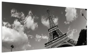 Obraz Eiffelovy věže  (100x40 cm)