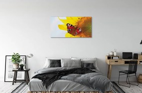 Obrazy na plátně slunečnice motýl 140x70 cm