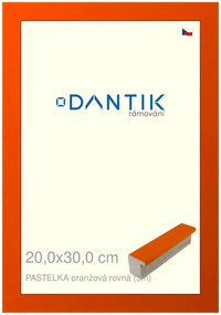 DANTIK rámeček 20x30 | PASTELKA oranžová rovná (Sklo Čiré)