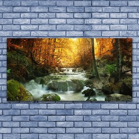 Plexisklo-obraz Vodopád Příroda Les Podzim 120x60 cm