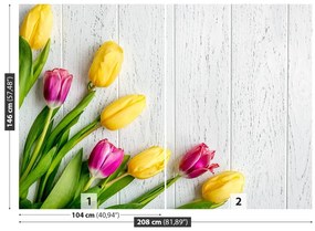 Fototapeta žluté tulipány 104x70