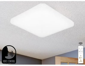 LED Stmívatelné stropní svítidlo s hlasovým ovládáním OPAL LED/48W/230V + DO