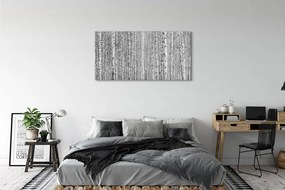akrylový obraz Černá a bílá strom les 125x50 cm