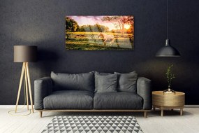Obraz na skle Kůň Louka Zvířata 125x50 cm