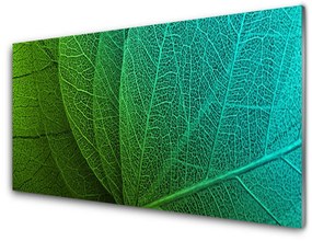 akrylový obraz Abstrakce Listy Rostlina 140x70 cm