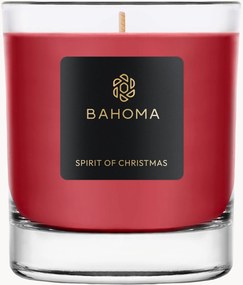 Ručně vyrobená vonná svíčka Sprit of Christmas (černý rybíz, hřebíček a ambra)