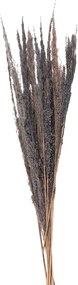 Přírodní šedá kytice sušené květy trávy - 100 cm (10ks)