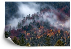 Fototapeta Podzimní Les V Krásné Mlze Omyvatelný vlies 135x90