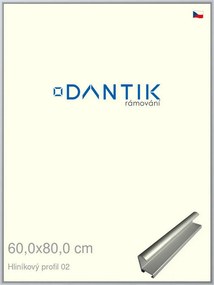 DANTIK rámeček 60x80 | ALU profil 7002 Stříbrná matná (Plexi Čiré)