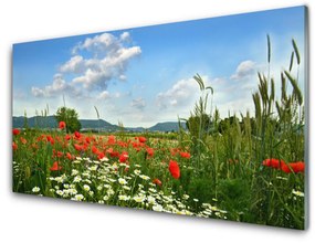 akrylový obraz Louka Květiny Příroda 120x60 cm