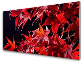 akrylový obraz Listy Příroda Rostlina 125x50 cm