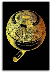 Gario Obraz na plátně Zlatá anatomie, oko - Gab Fernando Rozměry: 40 x 60 cm