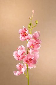 Paramit MOKARA ORCHID Aranžovací květina růžová 49 cm