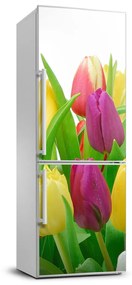 Wallmuralia Foto nálepka tapeta lednička Tulipány 60x180 cm