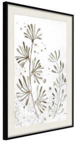 Artgeist Plakát sušená rostlina Velikosti (šířkaxvýška): 20x30, Finální vzhled: Černý rám s paspartou