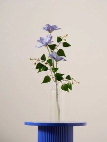Sinsay - Decorative plant – clematis - modrá