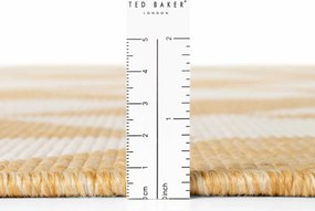 Ted Baker, Kusový koberec Ted Baker Haringey 106380 Yellow White, 200x300, žlutá, chodba / předsíň