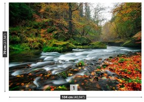 Fototapeta Podzimní potok 104x70