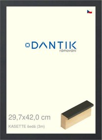 DANTIK rámeček 29,7x42 | KASSETTE šedá (Plexi Čiré)