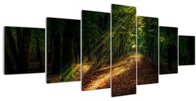 Obraz lesní cesty (210x100 cm)