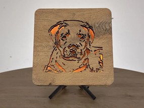 Li-Go "Štěně" lampa 19x19cm provedení povrchu: dub