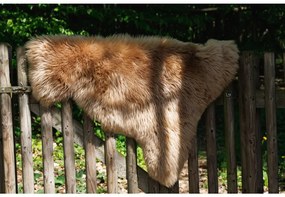 Wooline Ovčí kůže zlatohnědá 95 x 65 cm