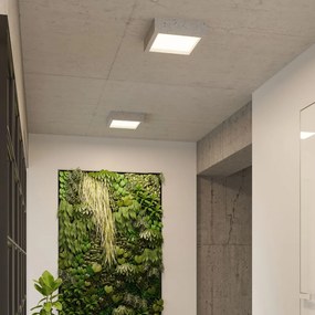 Sollux Lighting Stropní svítidlo RIZA beton