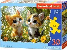 CASTORLAND Puzzle Roztomilá koťátka / 30 dílků / 32 x 23 cm