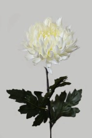 Bílá chryzantéma stopková 80cm