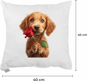 Dekorační polštář Maxie 40x40 cm EMI