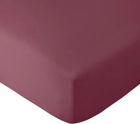 Vínové napínací prostěradlo 90x190 cm So Soft Non Iron – Catherine Lansfield