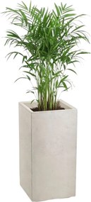 Sada 2 ks květináčů BETONIQUE 30x30/30x60 cm - výběr z 4 provedení