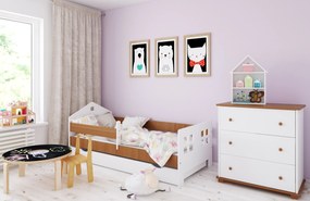 BabyBeds Dětská postel POLA Velikost postele: 160x80 cm, Barevné provedení: Olše, Úložný prostor: Ano, s úložným prostorem Bílá