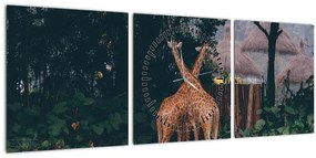Obraz dvou žiraf (s hodinami) (90x30 cm)