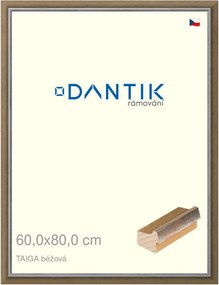 DANTIK rámeček 60x80 | TAIGA béžová (Plexi Čiré)