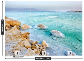 Fototapeta Mrtvé moře 104x70