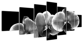Obraz květu orchideje (210x100 cm)