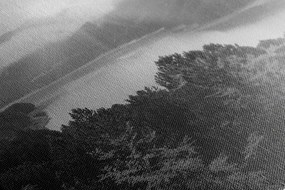 Obraz řeka uprosted lesa v černobílém provedení Varianta: 120x80