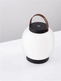 NV 9002876 Venkovní stolní lampa JIGRA černý hliník a akryl LED 2W 3000K 3,7V 306st. IP54 vypínač na těle / USB kabel - NOVA LUCE