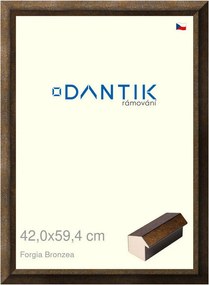 DANTIK rámeček 42x59,4 | Forgia Bronzea (Plexi Čiré)