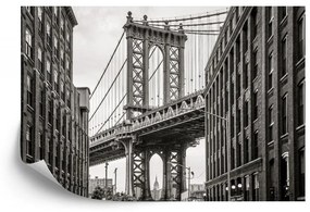 Fototapeta Bridge In New York City Hladký vinyl 104x70.5