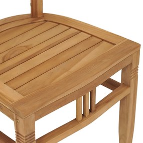 Zahradní židle Acryllic - teakové dřevo | 2 ks