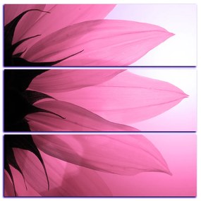 Obraz na plátně - Slunečnice květ - čtverec 3201VD (105x105 cm)