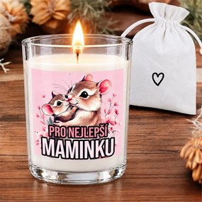 Ahome CZ Krásná svíčka Pro maminku myšky